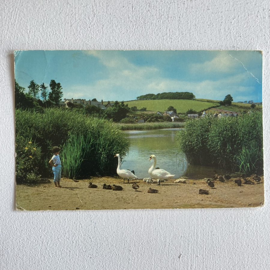 Postcard - Slapton Ley, Torcross - RetroSpectro