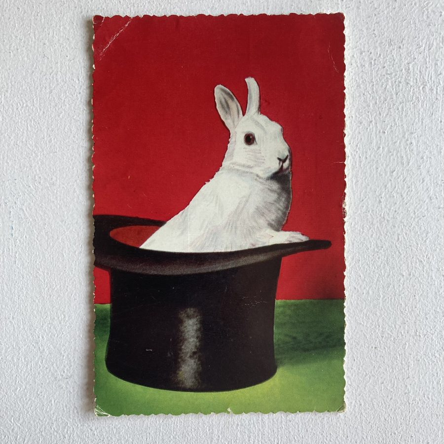 Postcard - White Rabbit - RetroSpectro