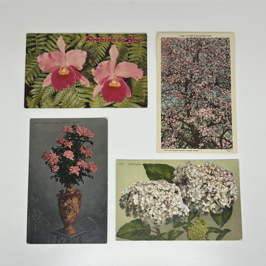 Postcards - Flowers - RetroSpectro